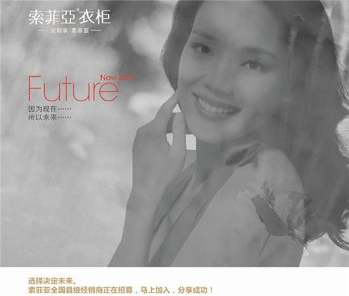 解读索菲亚：“标杆”是怎样炼成的？+凤凰家居